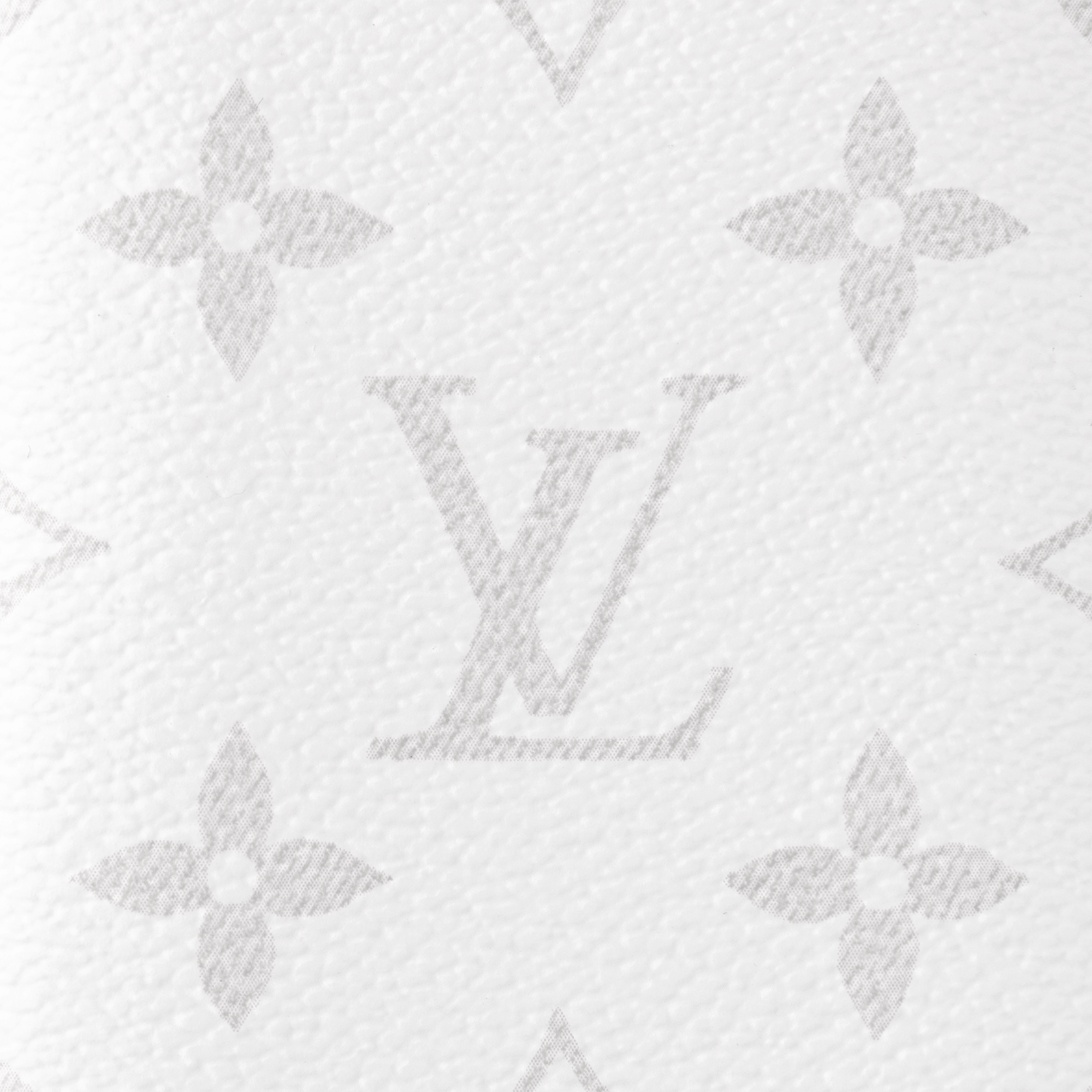Organizer de poche Taigarama | LOUIS VUITTON